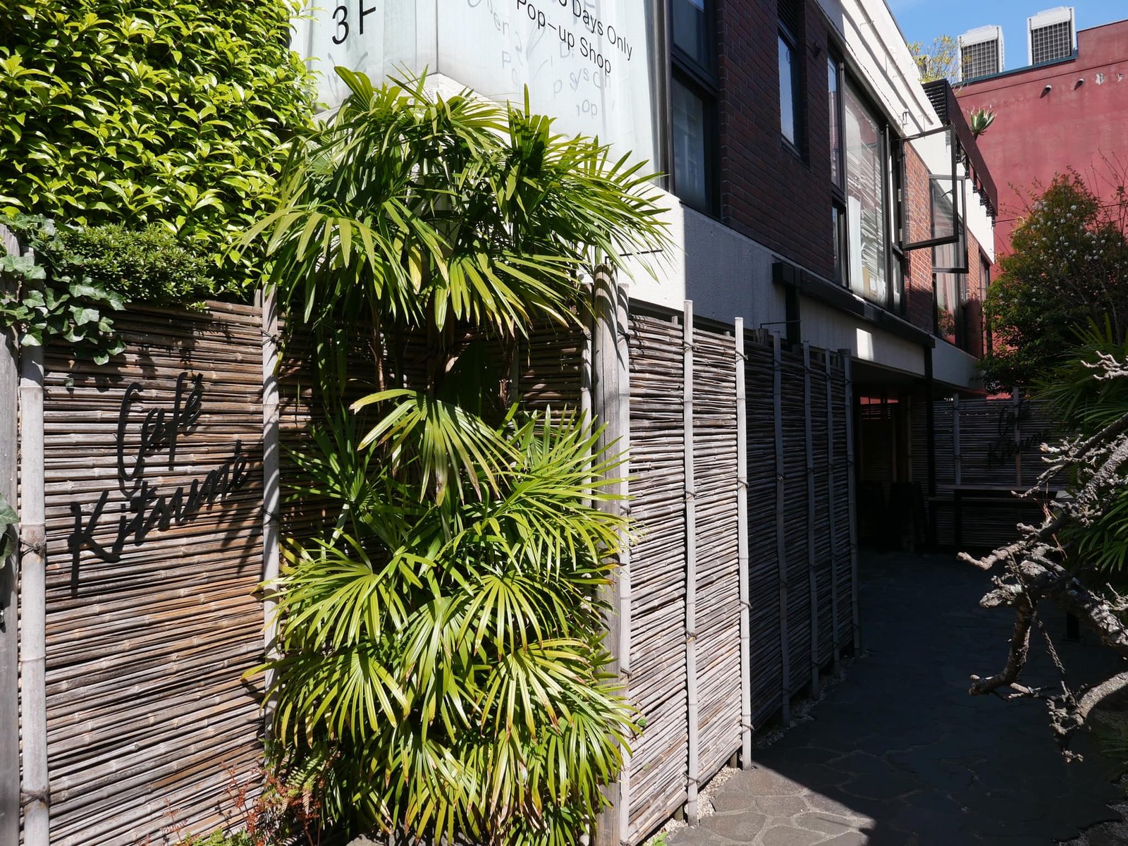 Fujin Tree Cafe – Cafe Hopping