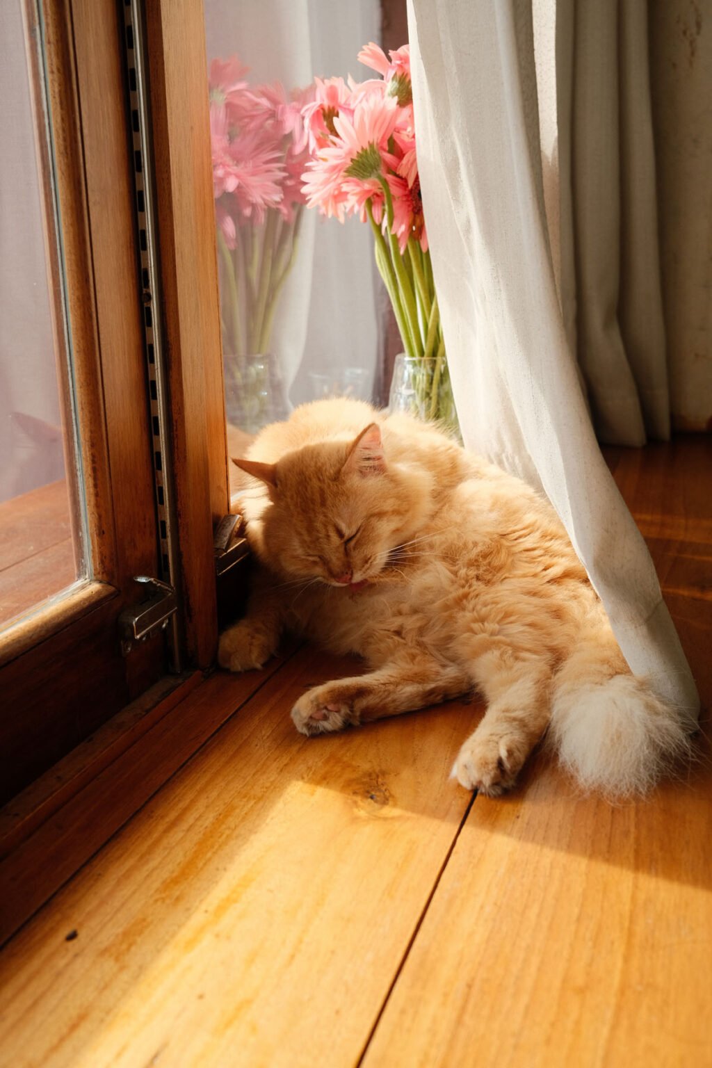 Cafe Hopping - A Paper Cup Coffee & Friends